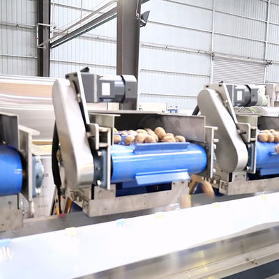 Walnut Shelling Machine factory, Buy good quality Walnut Shelling ...