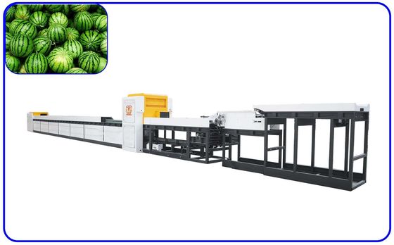 Smart Fruit Sorting Machine Computer Control Watermelon Sorter Customized