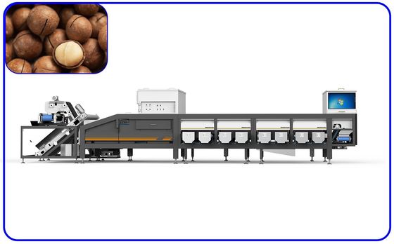 AI Grading Sorting Machine 12 Channel Mechanical Almond Sorting Equipment