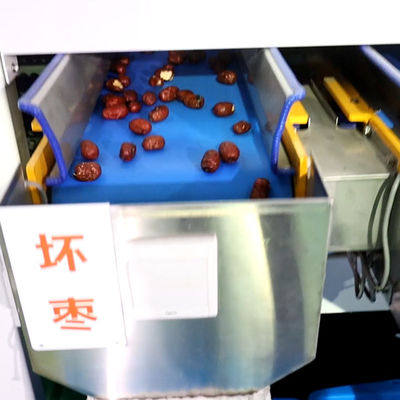 Computer Control Intelligent Stainless Steel Dates Sorting Grading ...