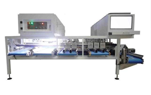 380V 50Hz Mechanical Almonds Sorting Machine 6 Channel AI Sorting