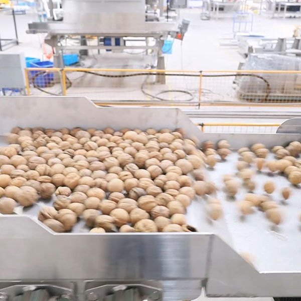 380V Low Voltage Grading Sizing Integrated Walnut Shelling Machine CE ...