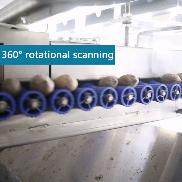 8 Collection Bins 2 Tons Output Pecan Sorter With CE Certification