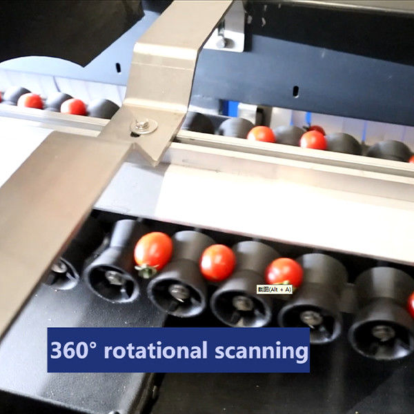 380V Stainless Steel Mechanical Cherry Tomatoes Sorting Grading Machine ...