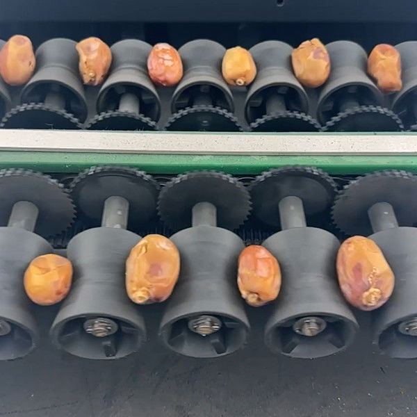 Seamless Integration Date Sorting Machine With State Of The Art Technology