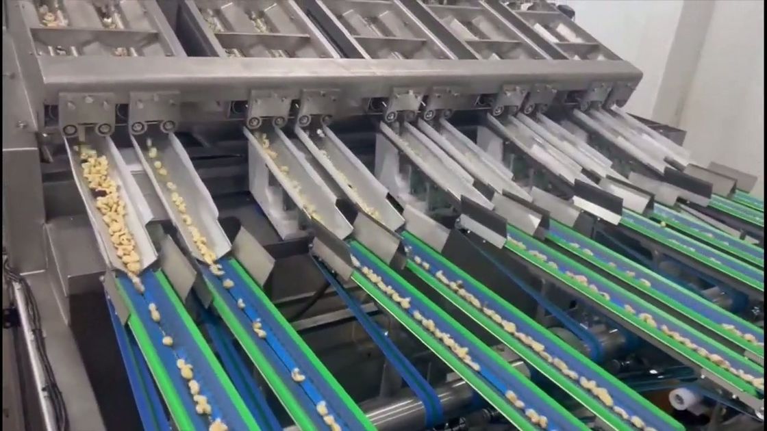 Automatic Cashew Color Sorter with Chain Conveyor, 360-Degree Nut ...