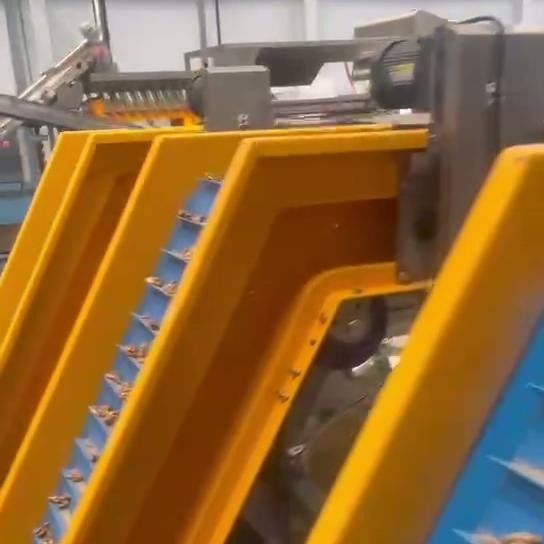 Deep Learning Powered Multi-Grade Walnut Kernel Sorting Machine 750kgs ...