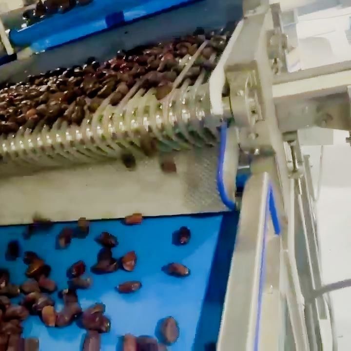 Smart Date Sorting Machine Combining AI Deep Learning Food-Grade Construction Intelligent Multi ...