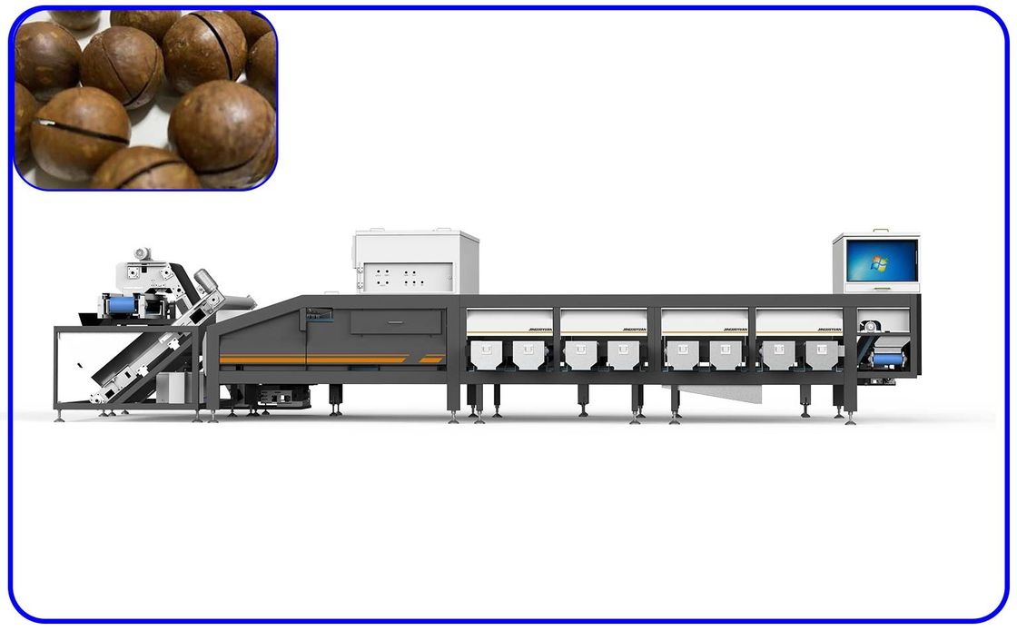 High Precision 7.8KW Grading Sorting Machine 12 Channel Electric Drive ...