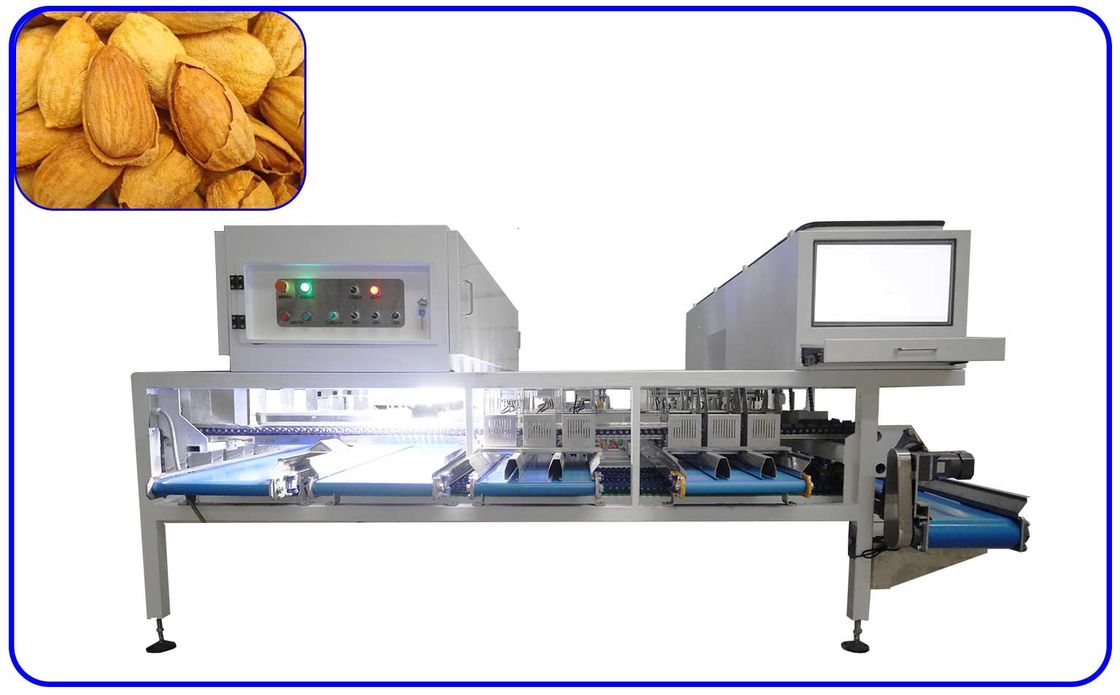 AI Grading Sorting Machine 12 Channel Mechanical Almond Sorting Equipment