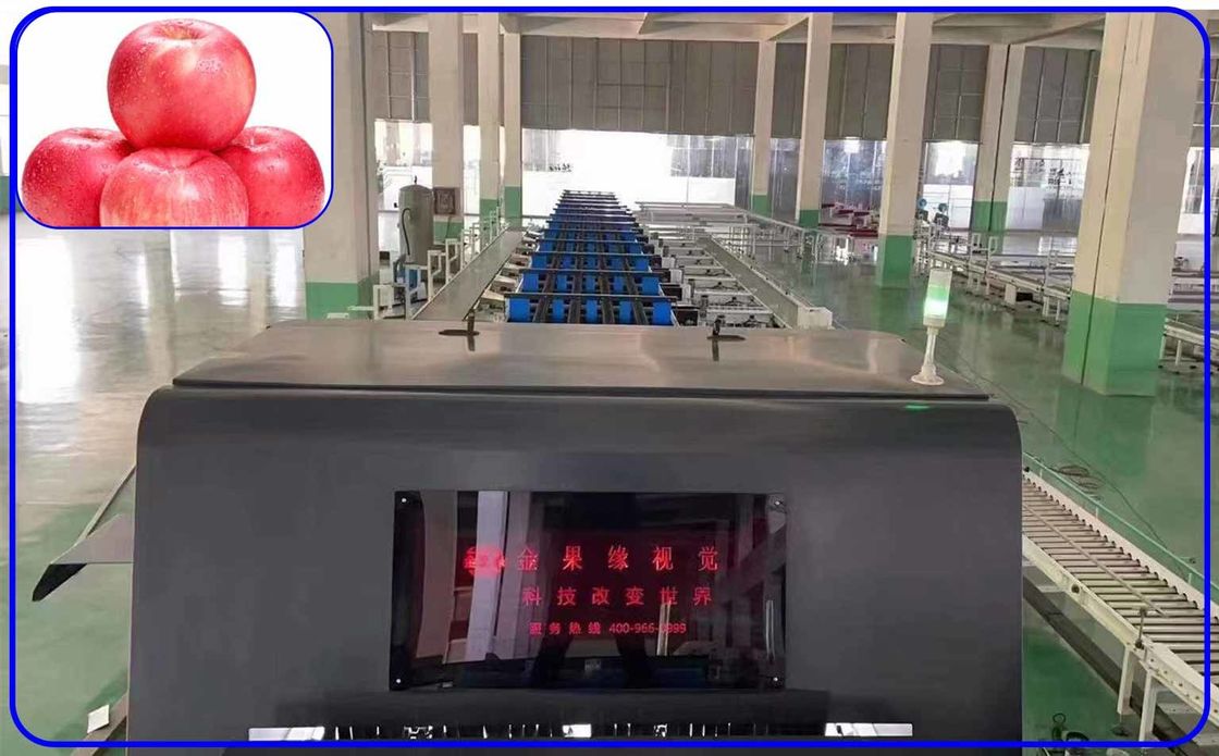 3 Channel Apple Sorting Sizing And Grading 380V One Time Rejection