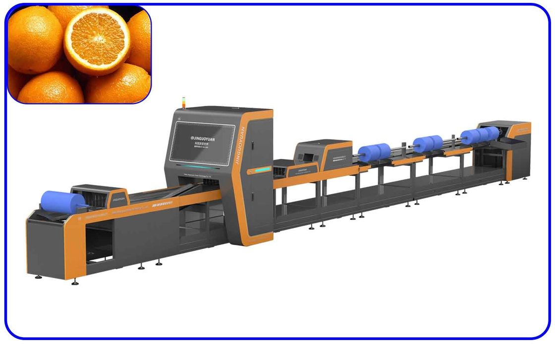 Intelligent Orange Grading Machine 380V Stainless Steel Visual Sorting ...