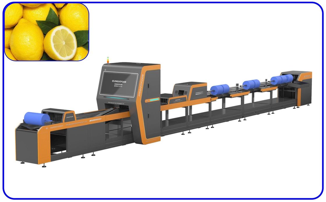 High Speed Fruit Sorting System Intelligent 1 Channel Lemon Sorting Machine