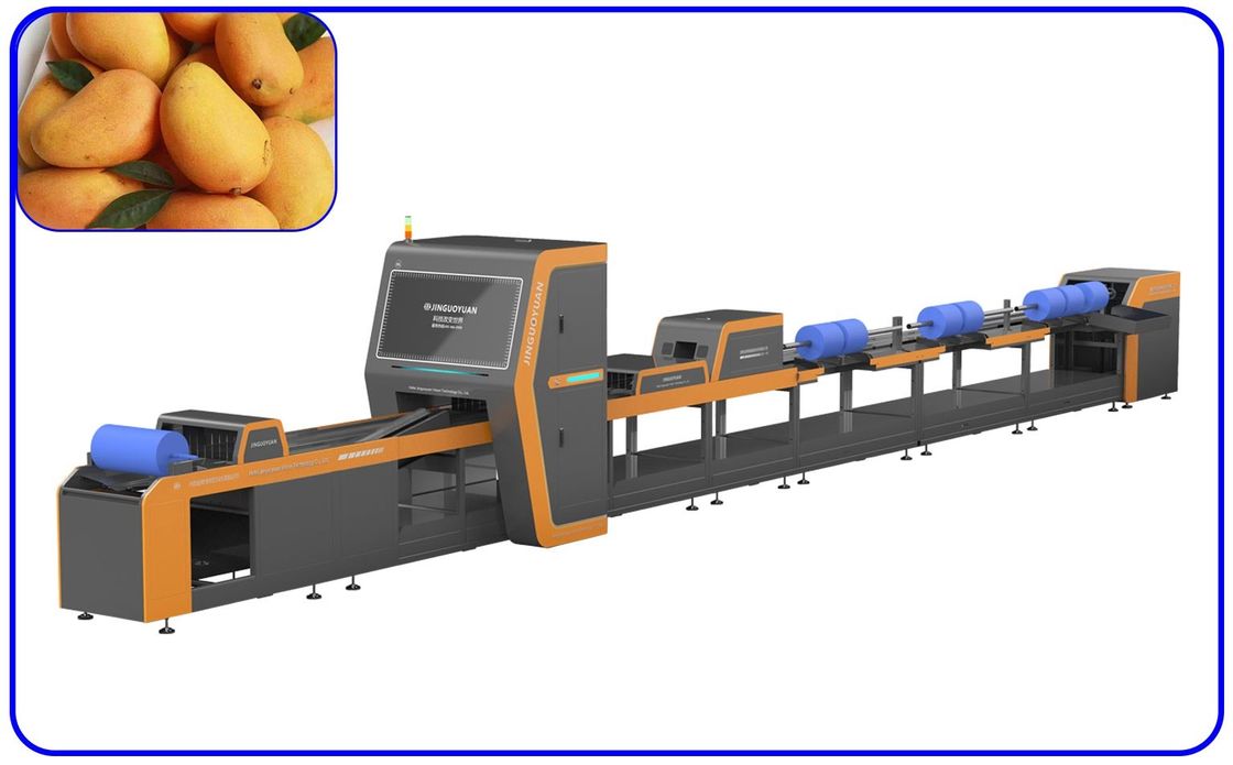 1 Channel Accurate Mango Fruit Sorting Machine Intelligent For Size And ...