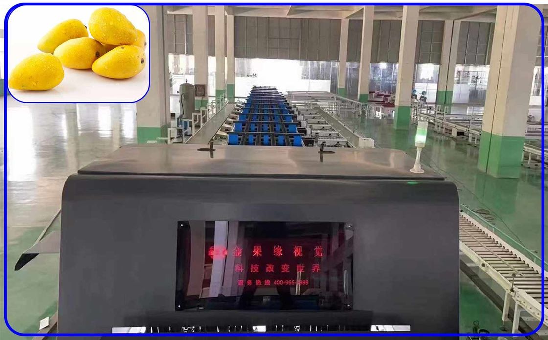 Diversified Fruits Sorting Equipment 3 Channel Intelligent Mango Sorter ...
