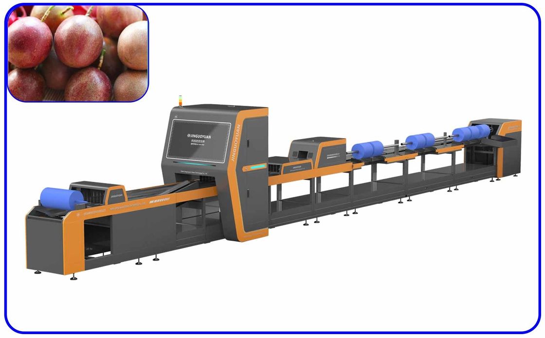 50Hz Passion Fruit Sorting Machine Intelligent 4 Channel Automatic Sorting Equipment