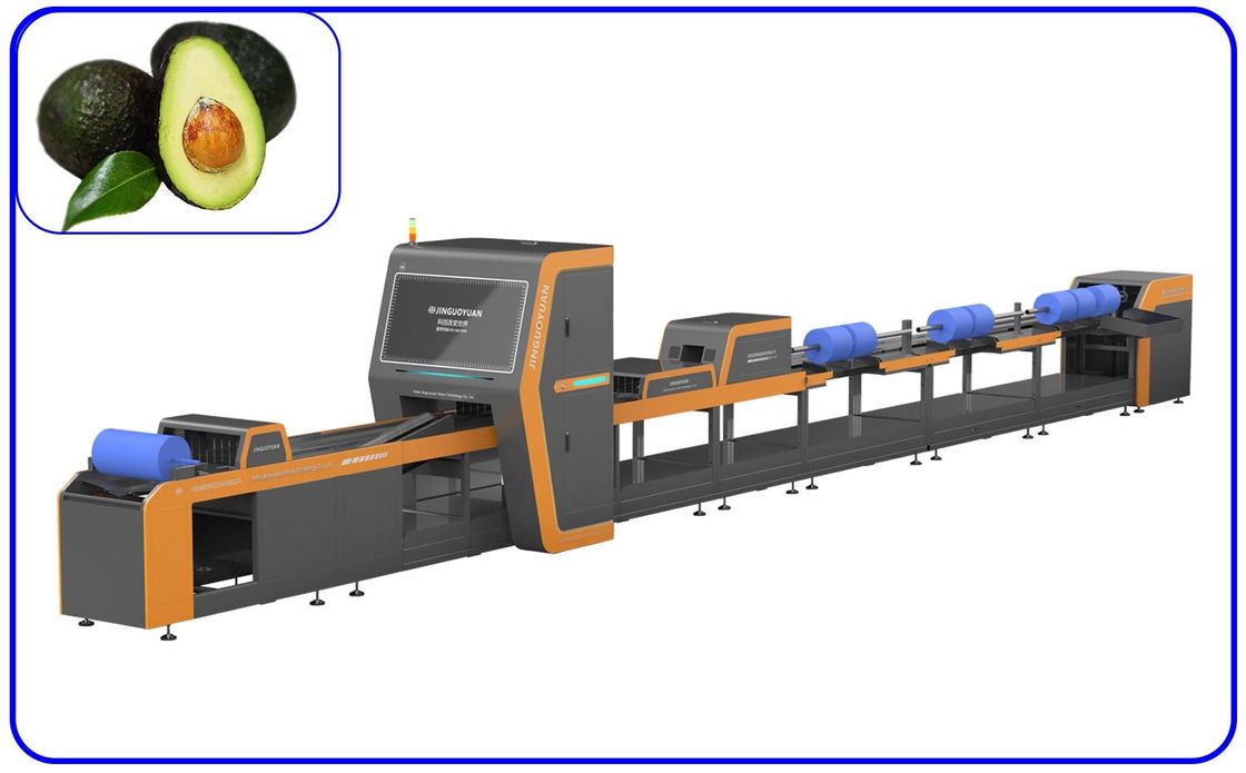 Large Yield 50Hz Fruit Sorting Machine Intelligent Avocado Sorting Machine