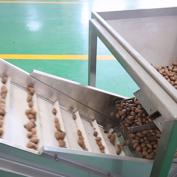 CE Endorsed Pecan Nuts Sorting Machine 7kW 380V Capable 1-2 Tons With 8 ...