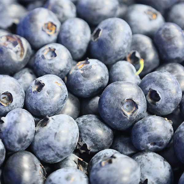 Electric Drive Blueberry Sorting Grading Machine 380V 6 Channels