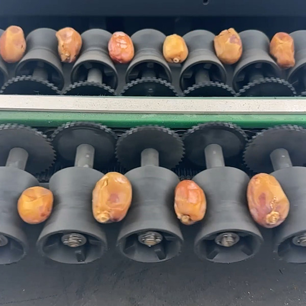 Seamless Integration Date Sorting Machine With State Of The Art Technology