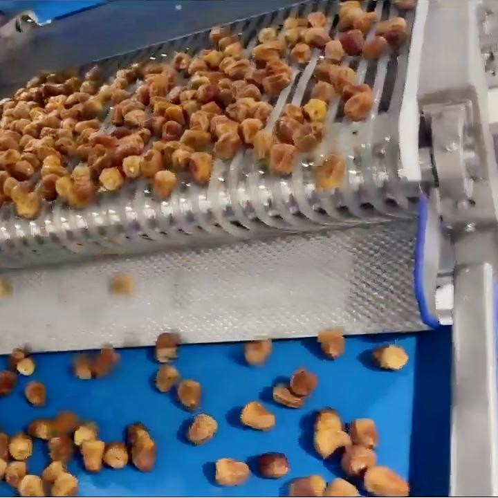Smart and Capacity Sorting Machine for Perfect Dates Every Time Powered ...