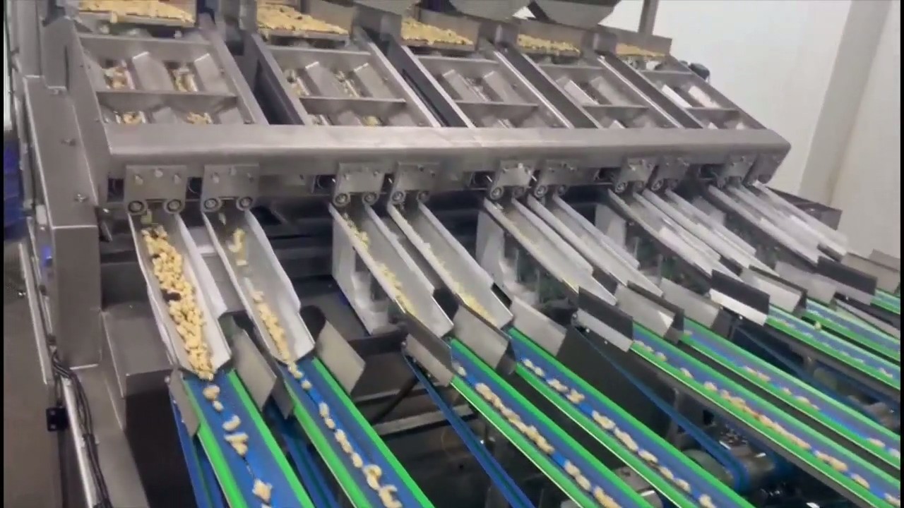 8-Lane Intelligent Cashew Grading Machine with AI Sorting and Custom Design Capability AC220V ±5 ...
