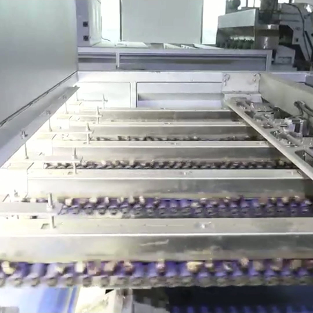 AI powered Durable 304 Stainless Steel Chestnut Sorting Solution with 8 ...