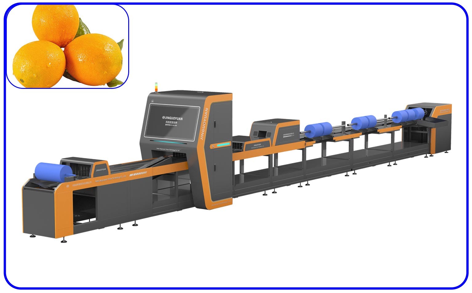 Fertile Orange Grading Machine 50Hz 380V Intelligent High Speed Sorting ...