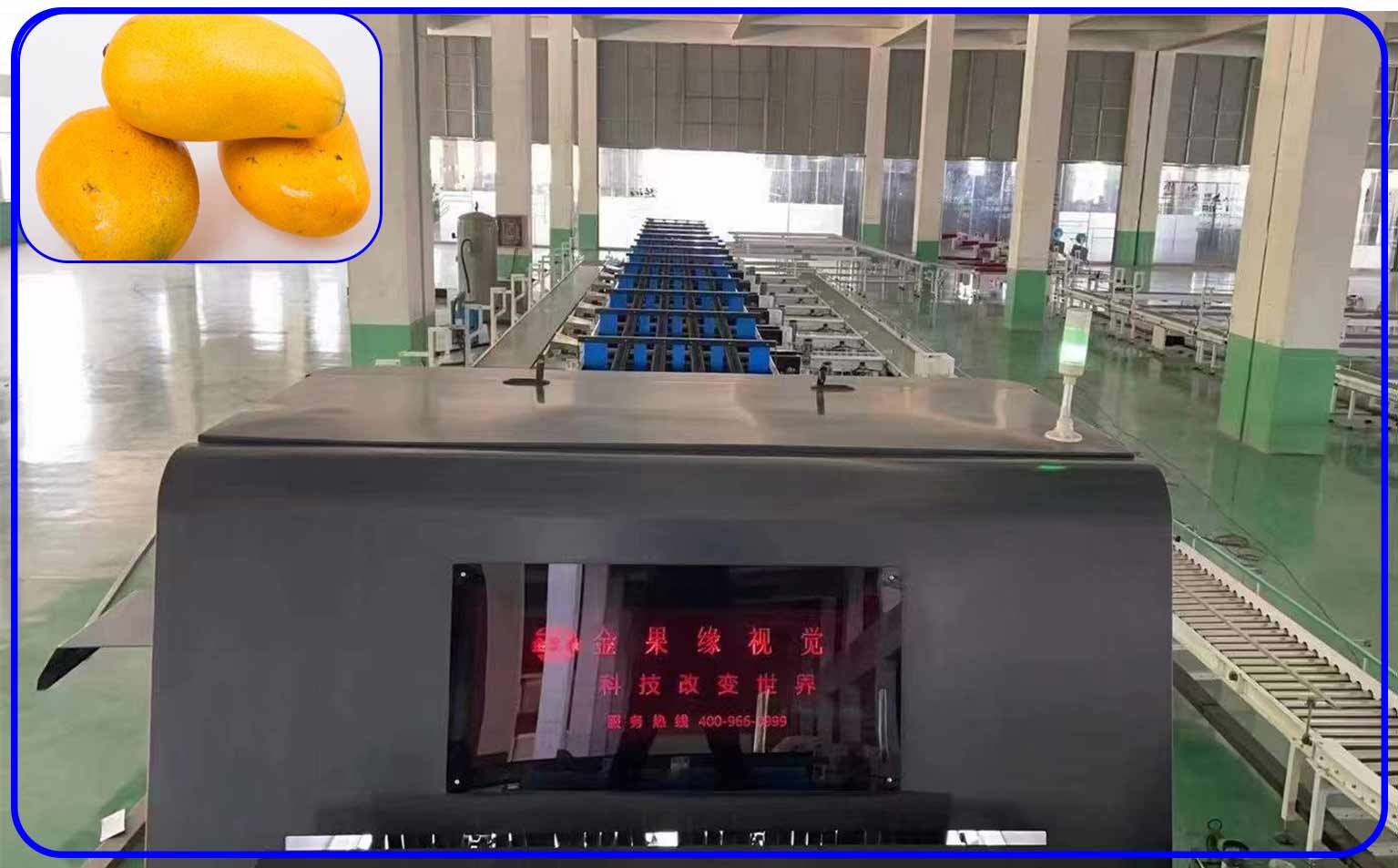 Detect Sugar Mechanical Fruit Sorting Machine Intelligent 2 Channel ...