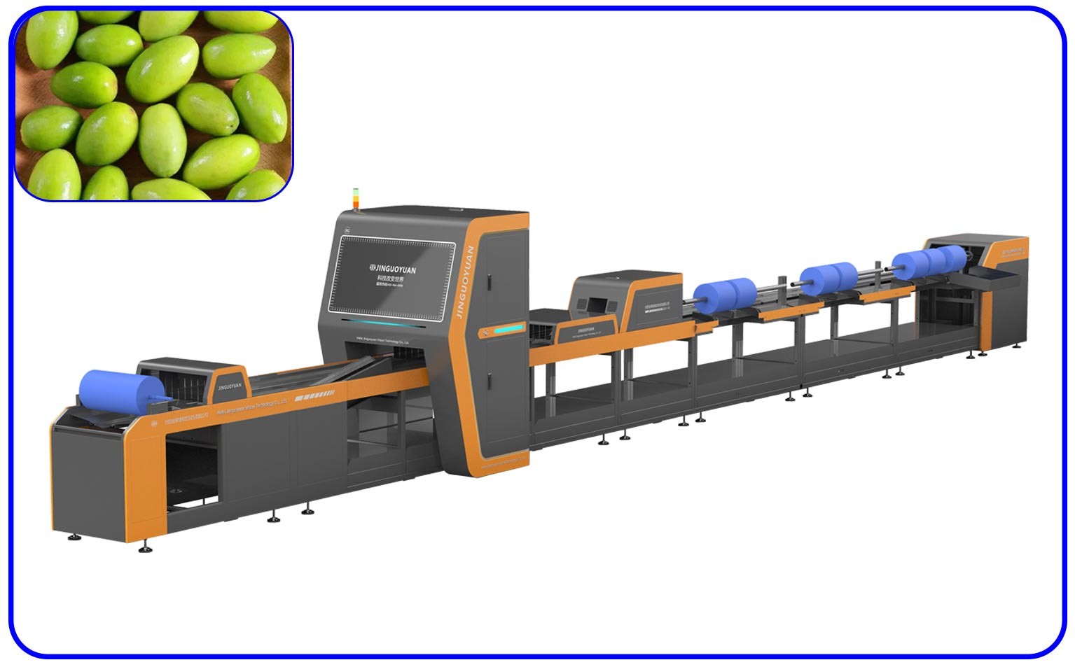 Fast Small Grading Machine 380V 1 Channel Chinese Olive Sorting Machine