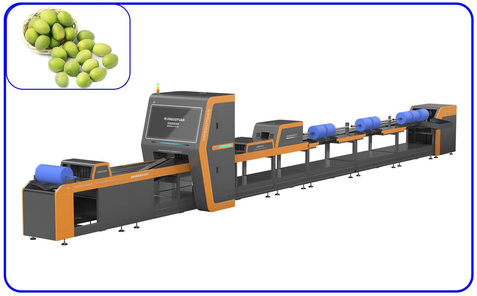 Intelligent Automatic Olive Sorting Machine 4 Channel High Precision