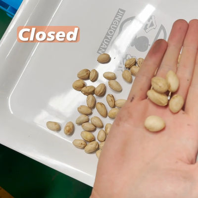 8 Exits High Output Pistachio Nuts Sorting Machine Up To 1100 Kgs Each Hour