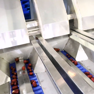 Artificial Intelligence Sorting Equipment 12 Lanes Dates Sorting Machine