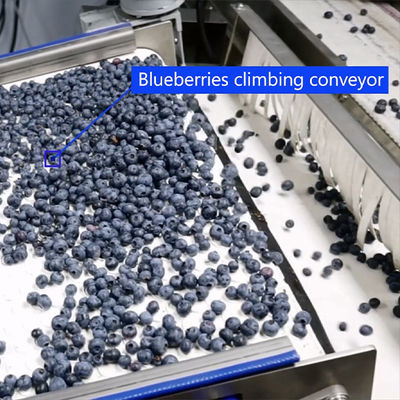 Convenient Computer Control Blueberry Sorting Machine Stainless Steel