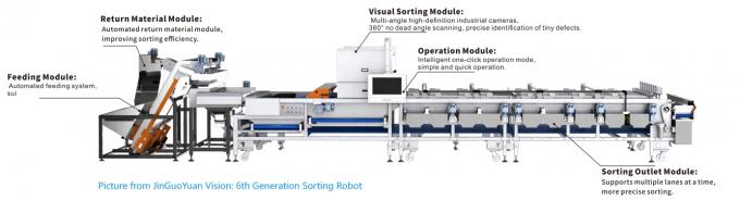 What Are the Main Parts of a Smart Sorting Machine and What Do They Do?